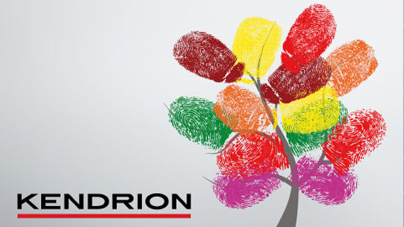 Diversity Initiatives | Kendrion