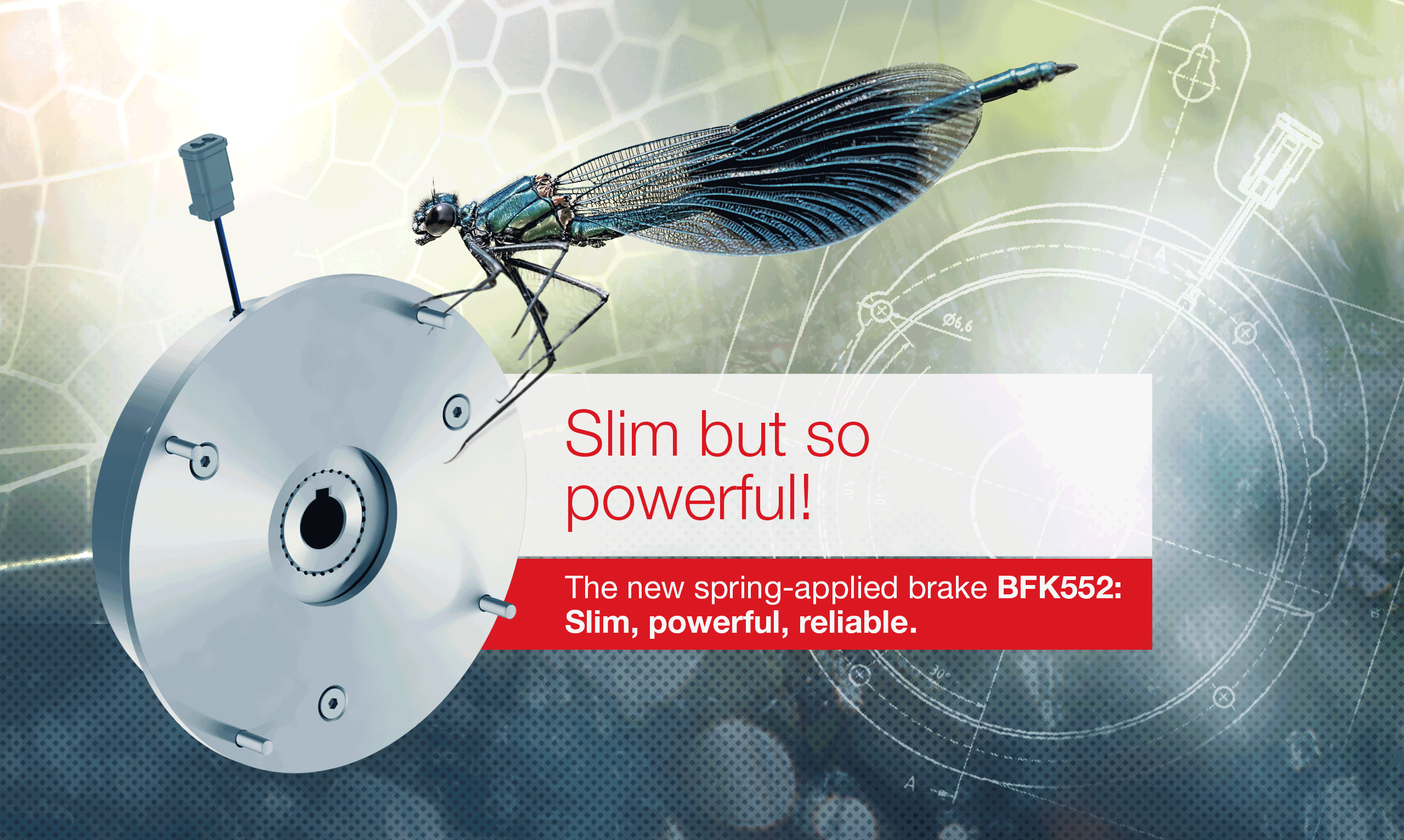 Spring-applied brake - INTORQ BFK552 | Kendrion